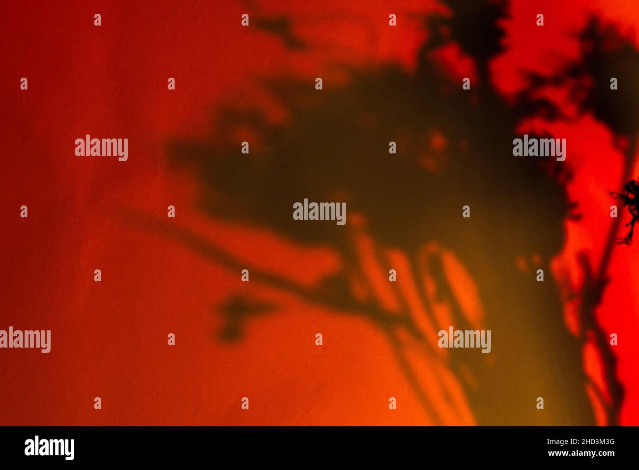 Abstract multicolored color changing background. Psychedelic hypnotic ...