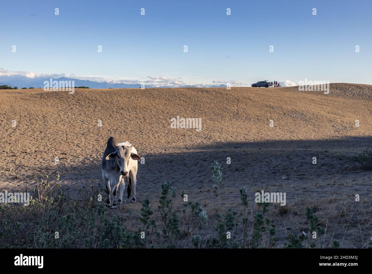 beautiful landscape at Laoag City Sand dunes, Philippines Stock Photo ...