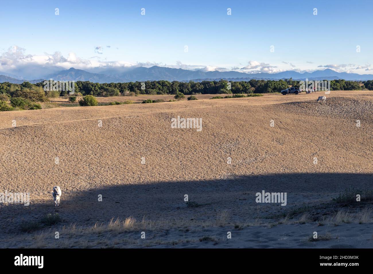 beautiful landscape at Laoag City Sand dunes, Philippines Stock Photo ...