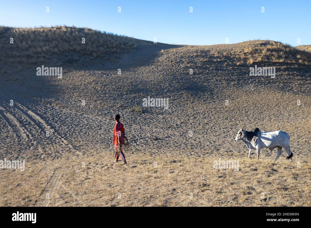 beautiful landscape at Laoag City Sand dunes, Philippines Stock Photo ...