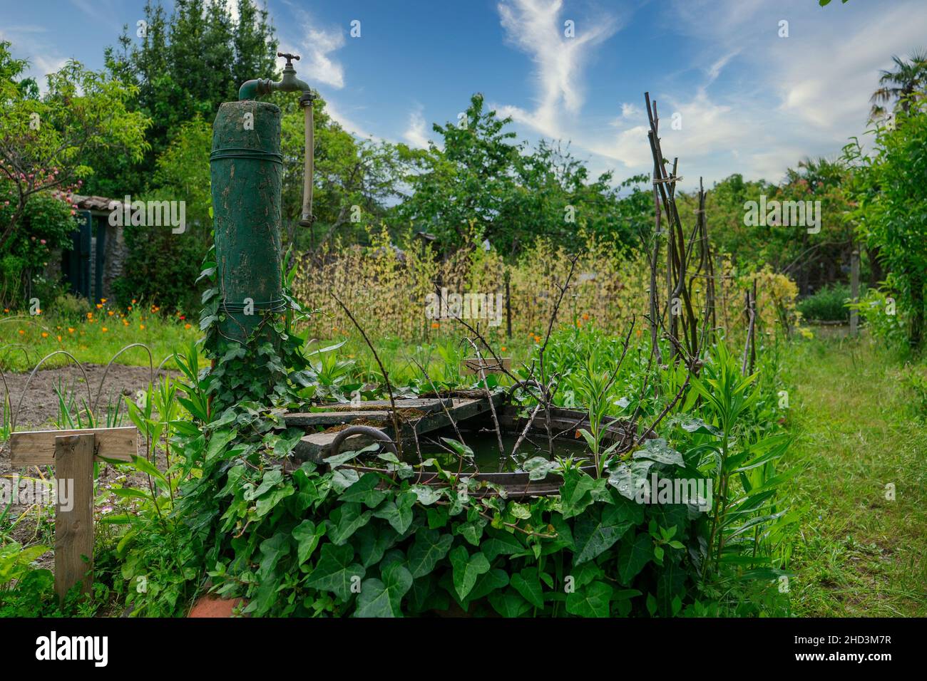 Vegetable garden with a water point Stock Photo - Alamy