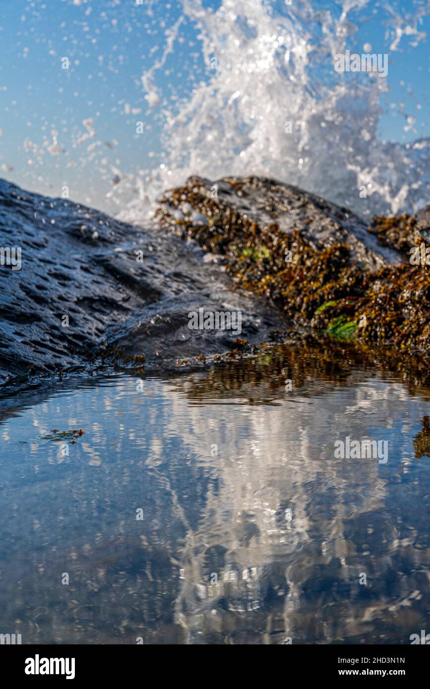 Beach puddle hi-res stock photography and images - Alamy