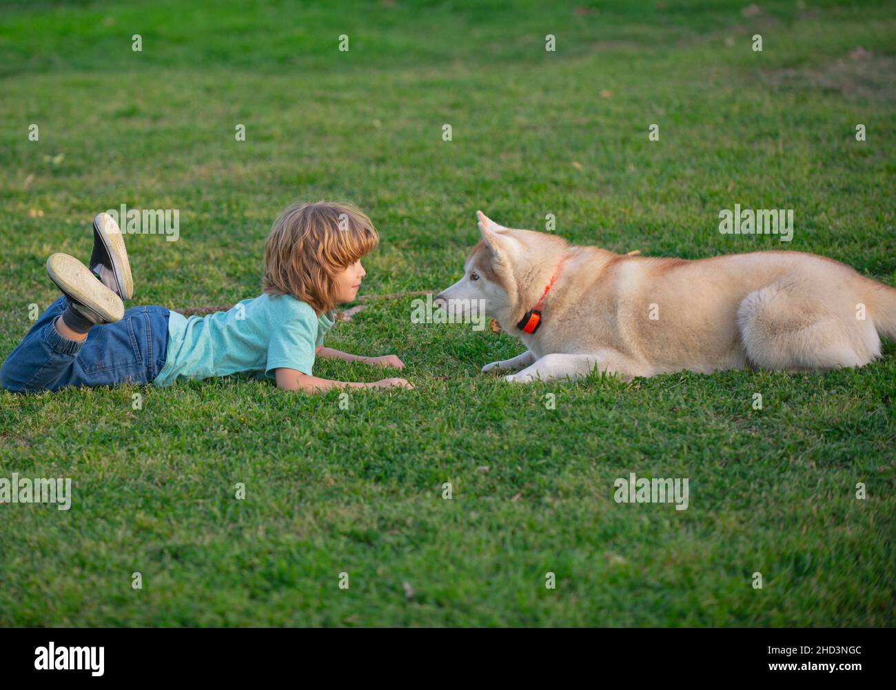 Child with a dog. Kid with a puppy dog outdoor playing at backyard lawn ...