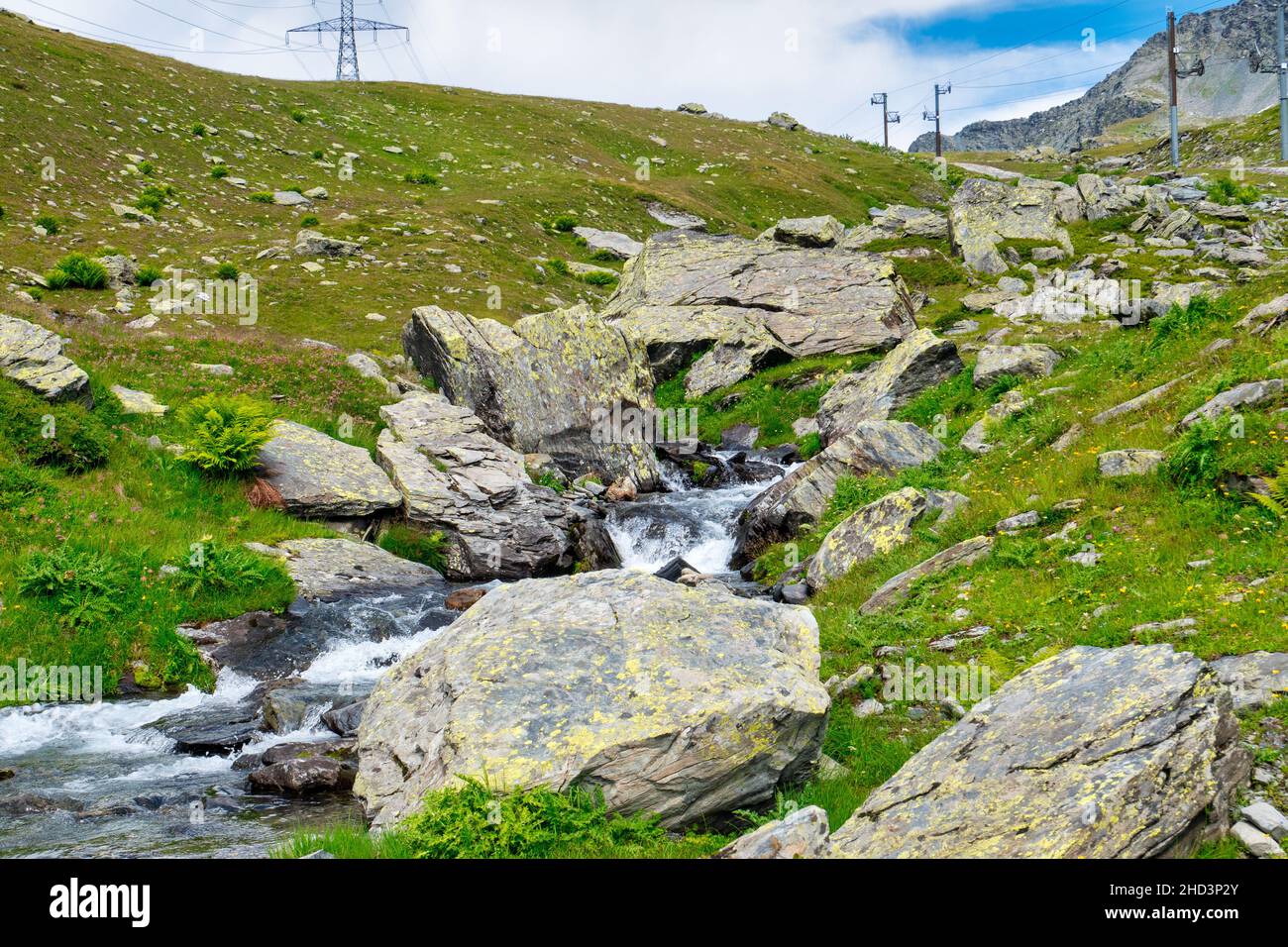 Petitsaintbernard hi-res stock photography and images - Alamy