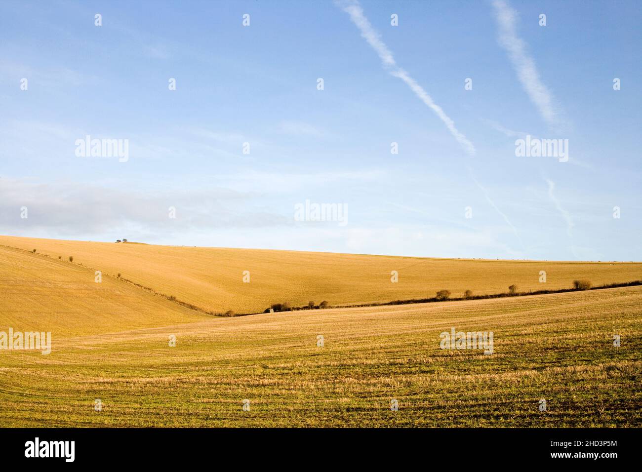Patcham hi-res stock photography and images - Alamy
