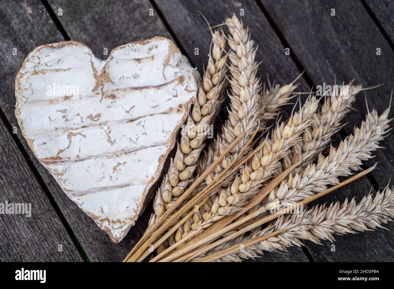 delicious traditional Neufchatel cheese, dairy product, France Stock ...