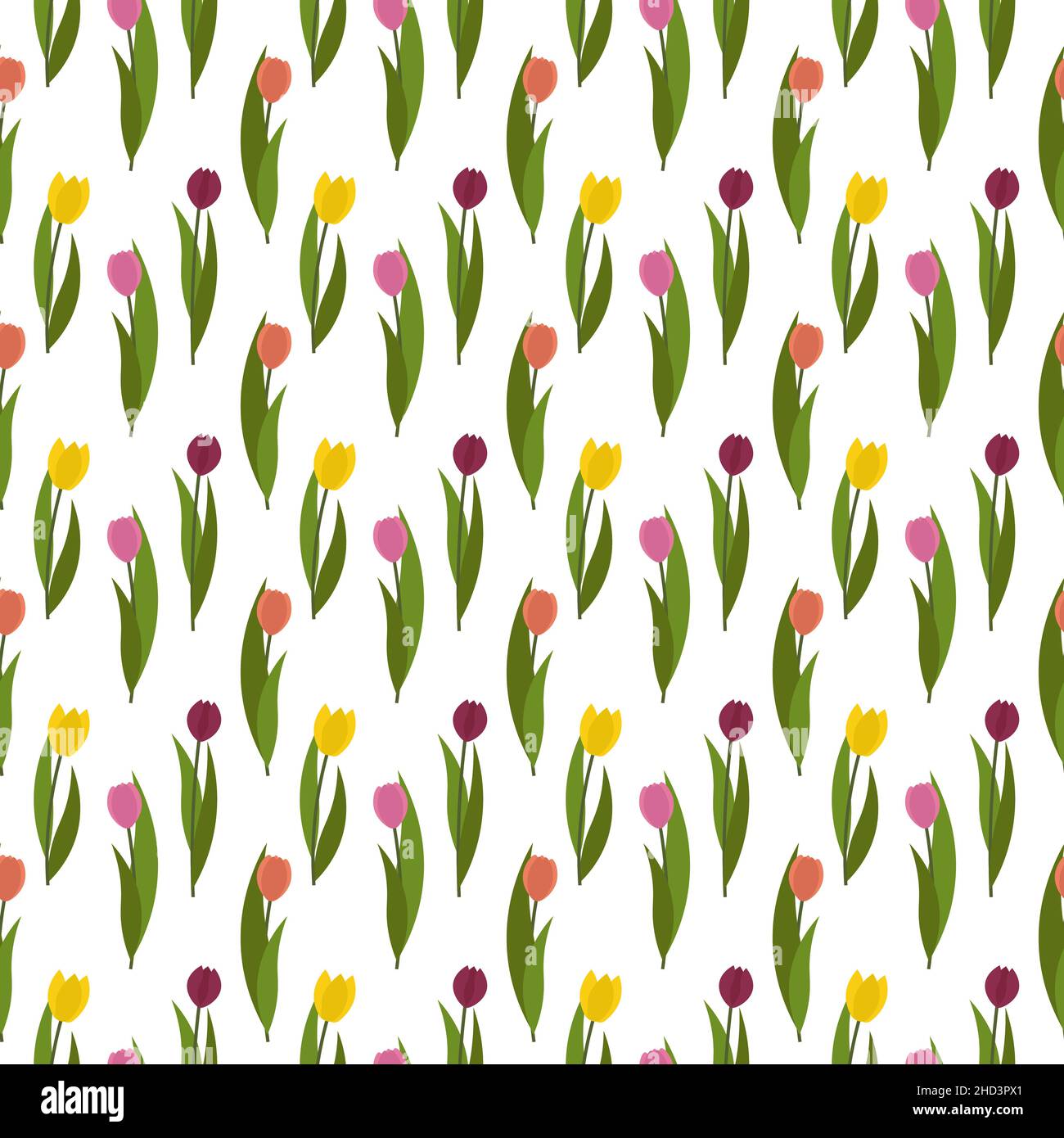 Pattern with multi-colored tulips. Floral vector illustration isolated ...