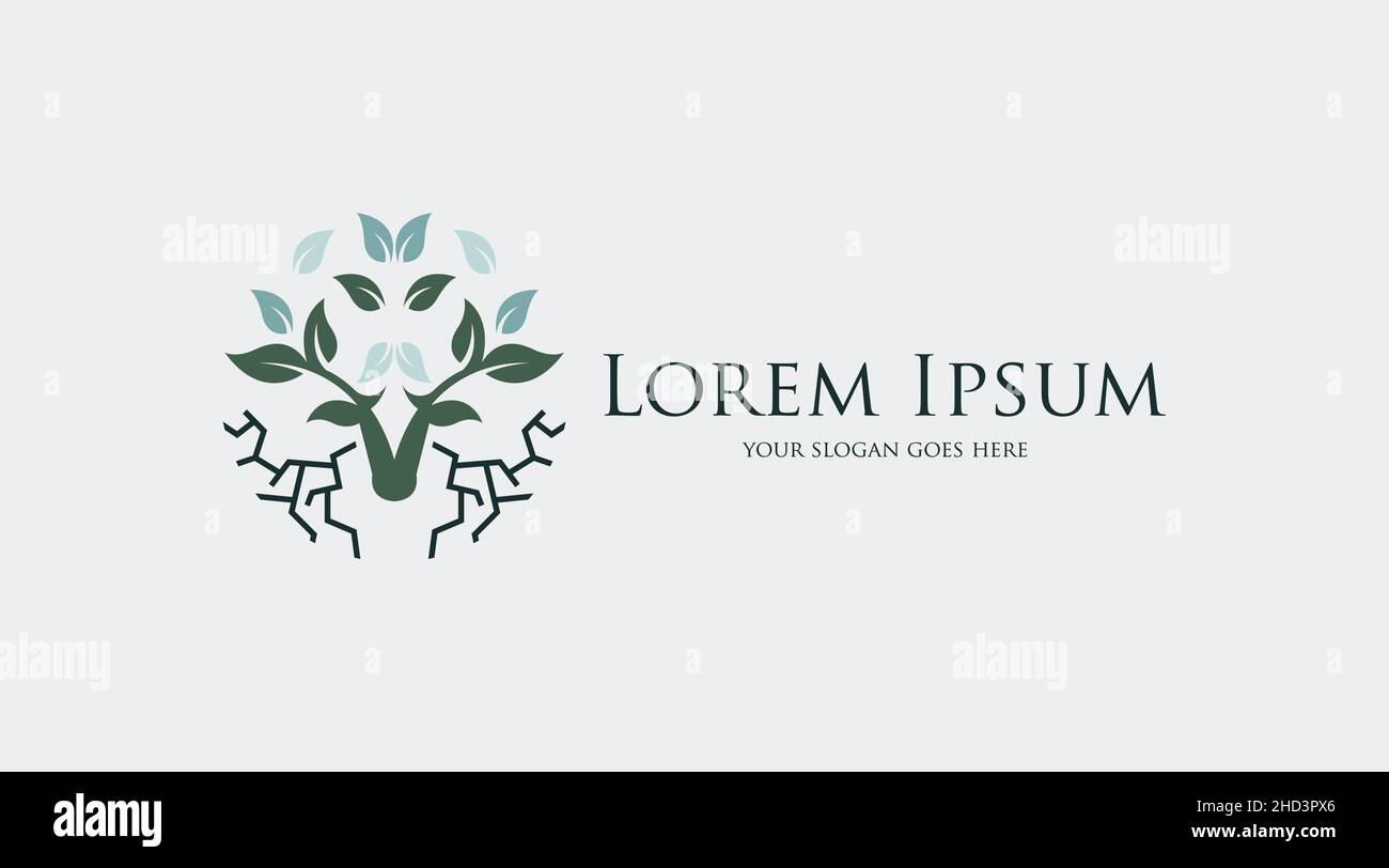 Abstract plant logo hi-res stock photography and images - Alamy