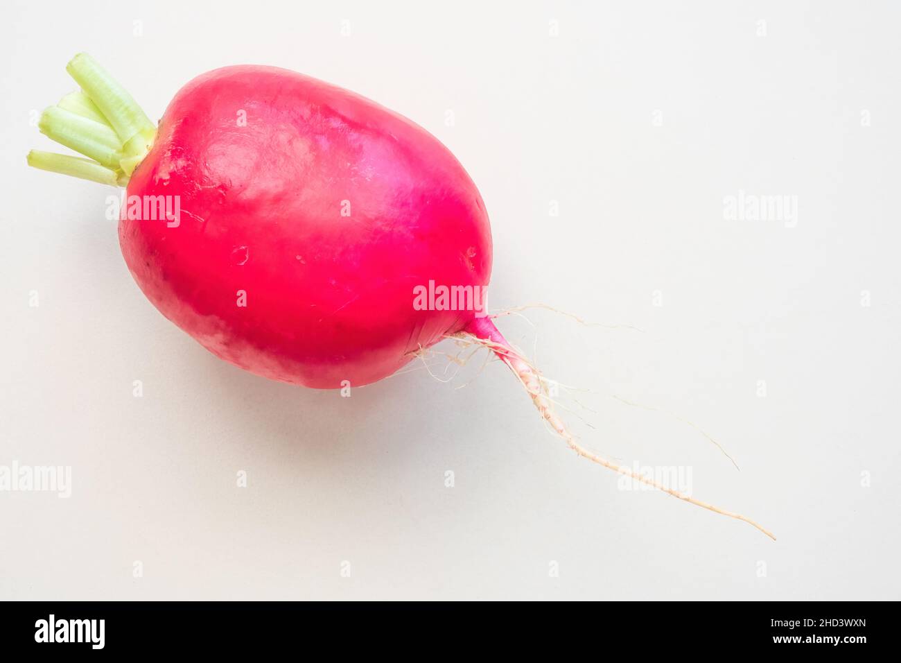 Big red radish on a light grey background Stock Photo - Alamy