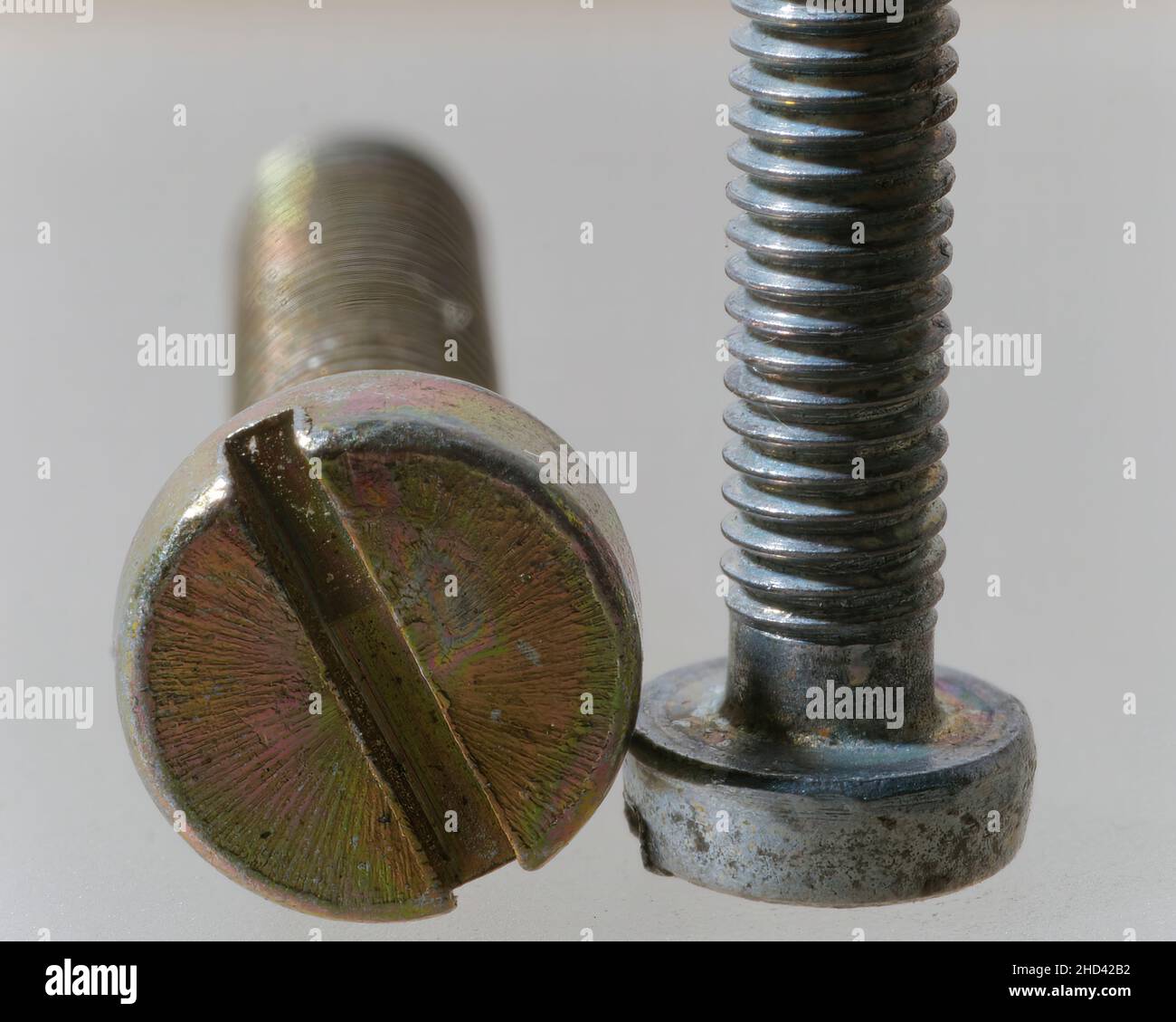 Close-up picture of a rusty gold and silver screw on a white background ...
