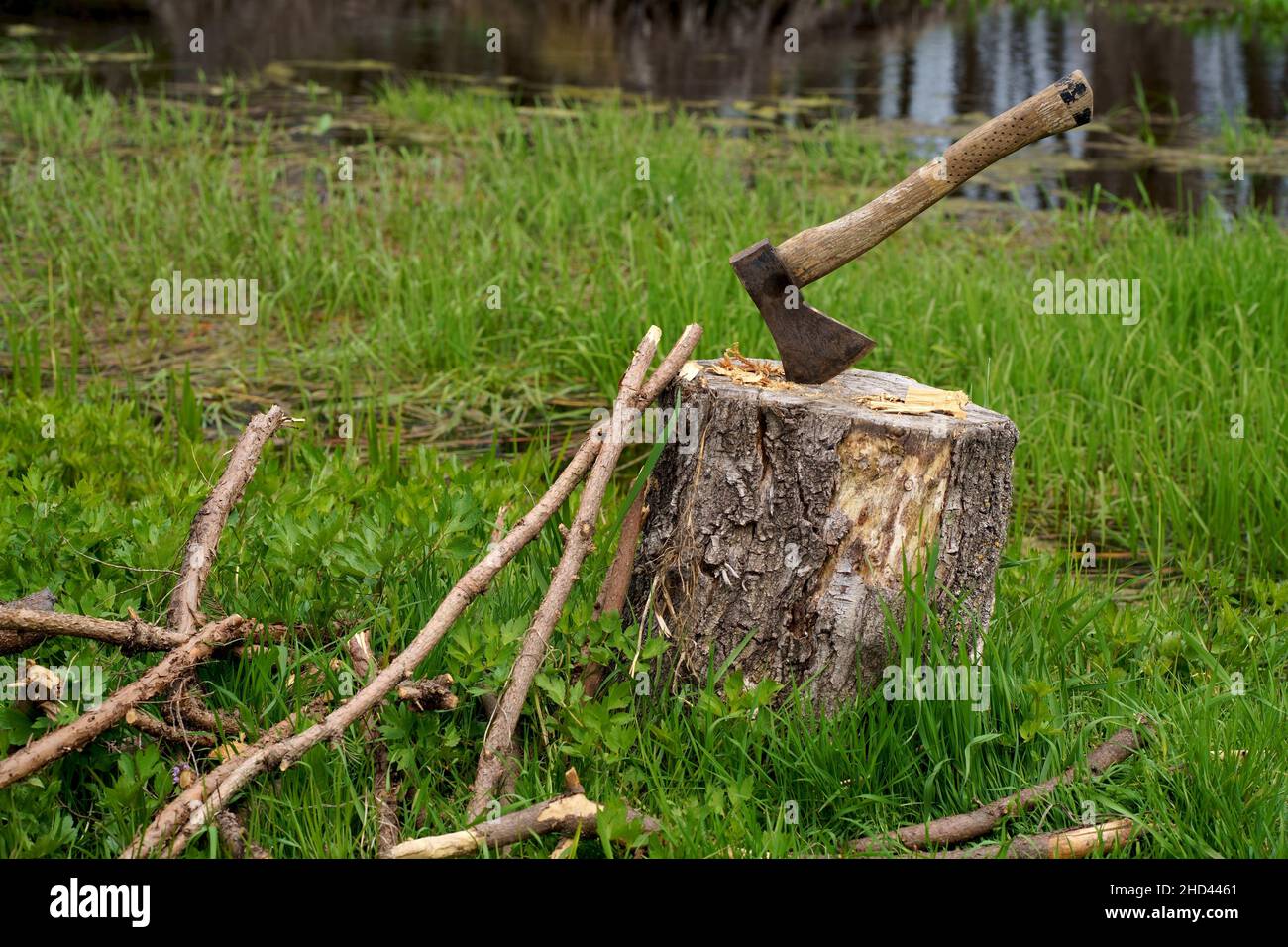 Old rusty axe with wooden handle stuck in the stump. blurred background ...