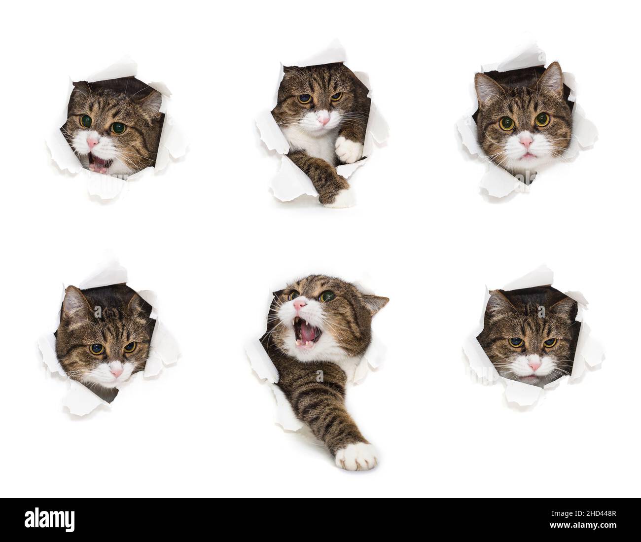 Through the gap view Cut Out Stock Images & Pictures - Alamy