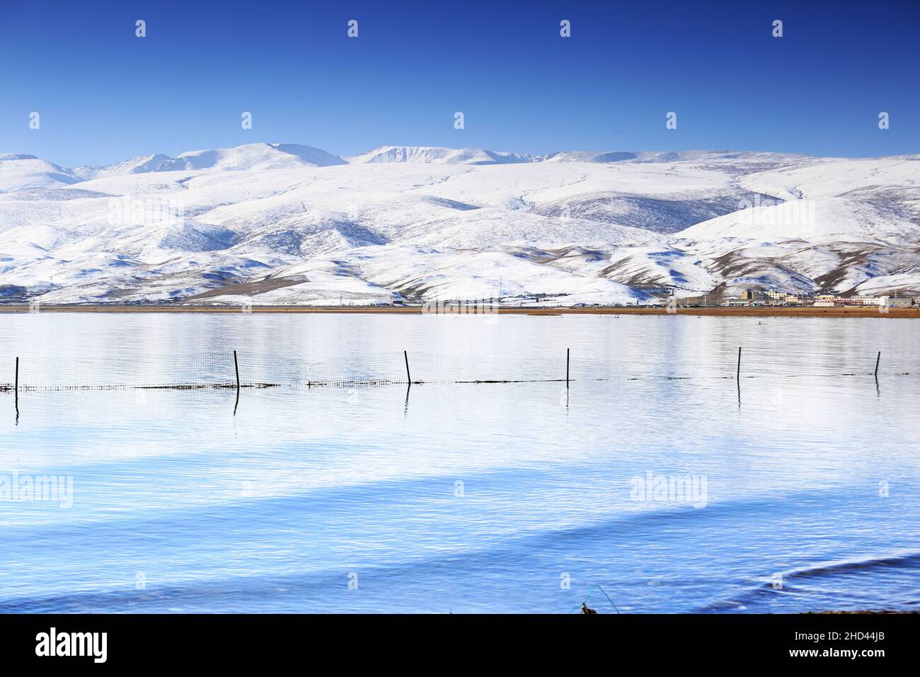 Qinghai Lake