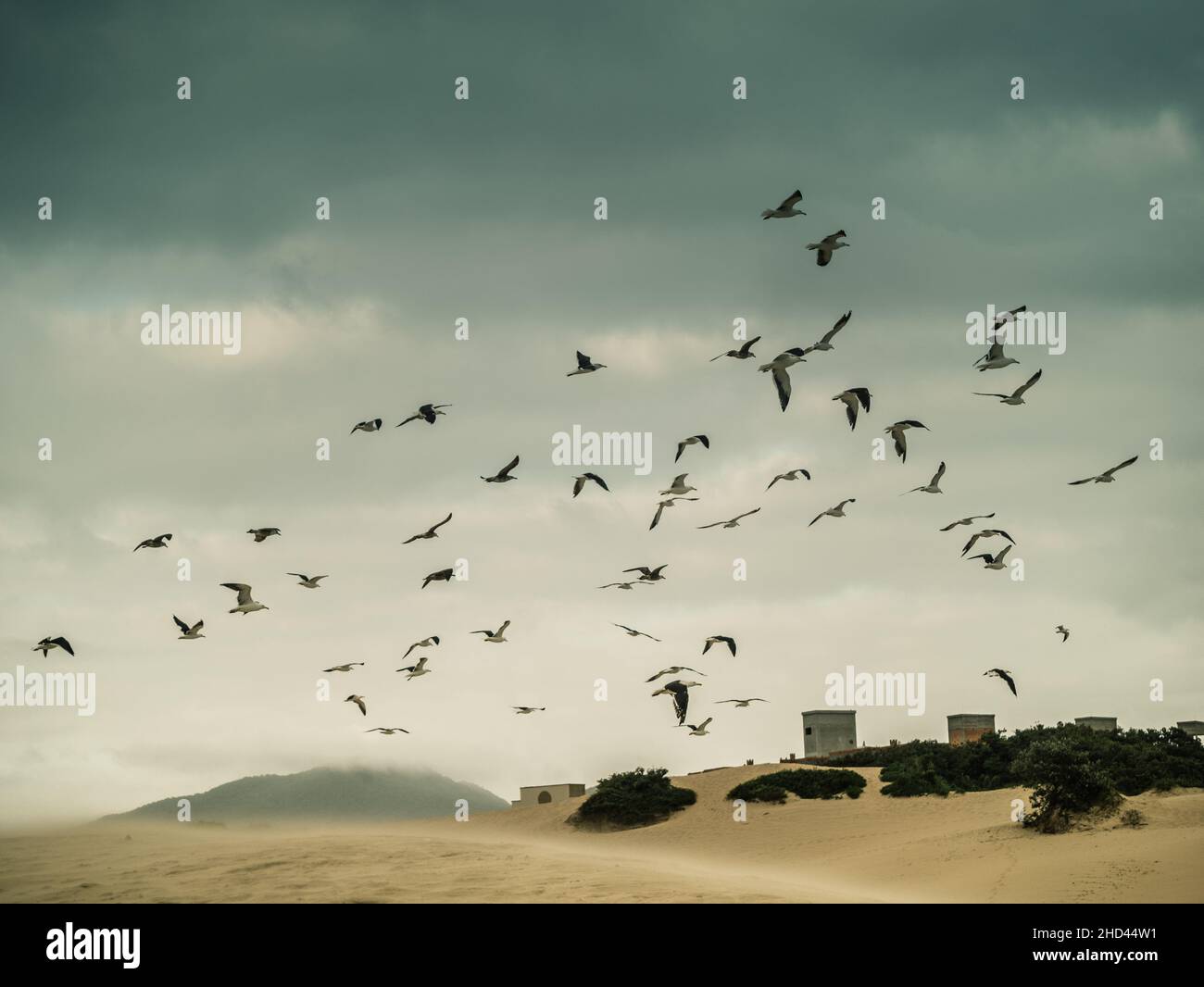 Birds eye view of brazil hi-res stock photography and images - Alamy