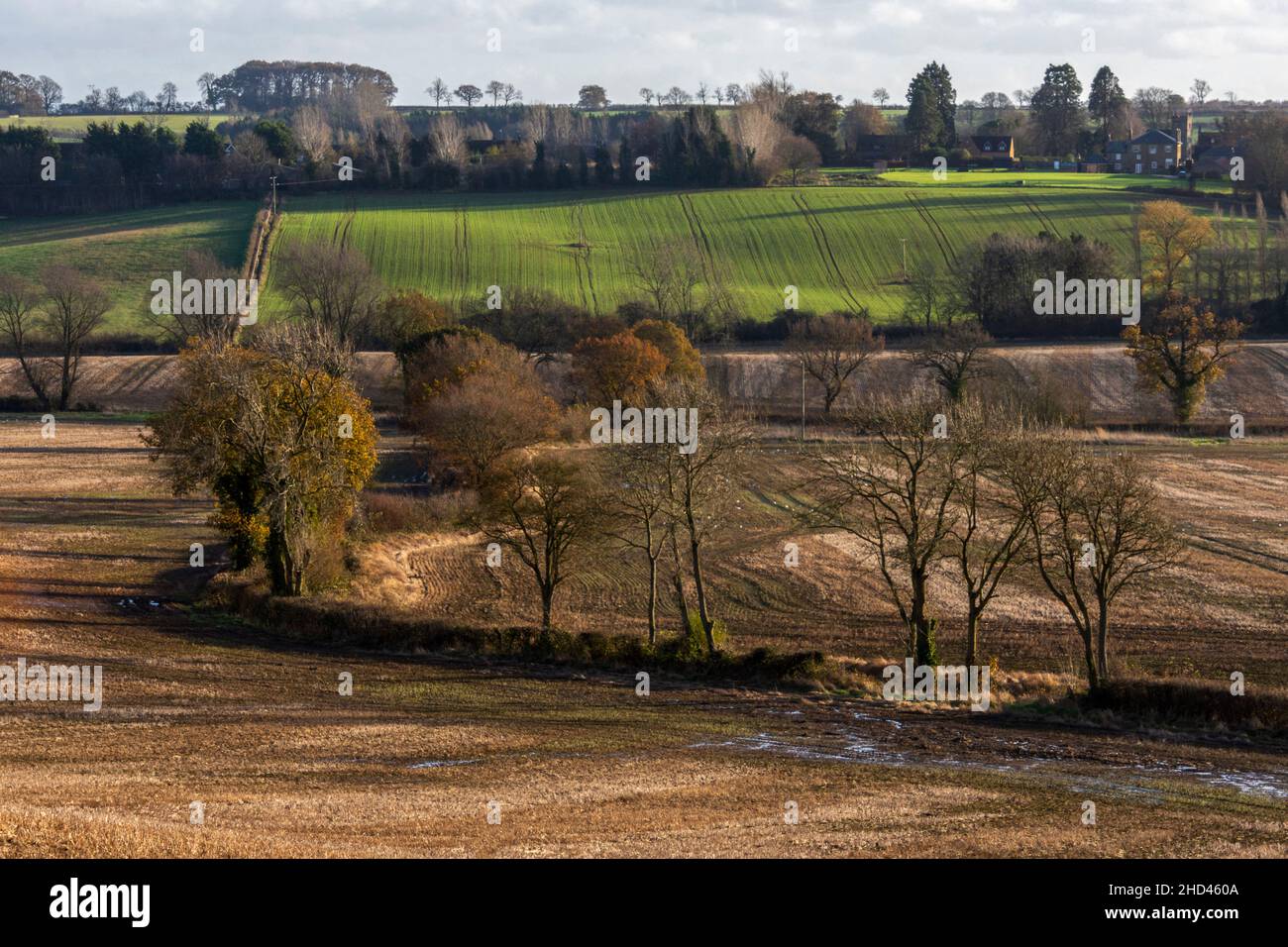 Habitat rural hi-res stock photography and images - Alamy
