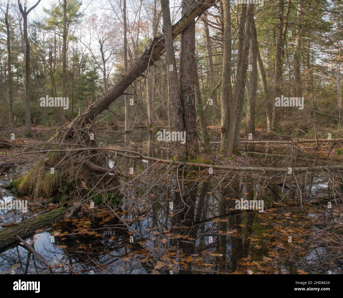 Broken environment hi-res stock photography and images - Alamy