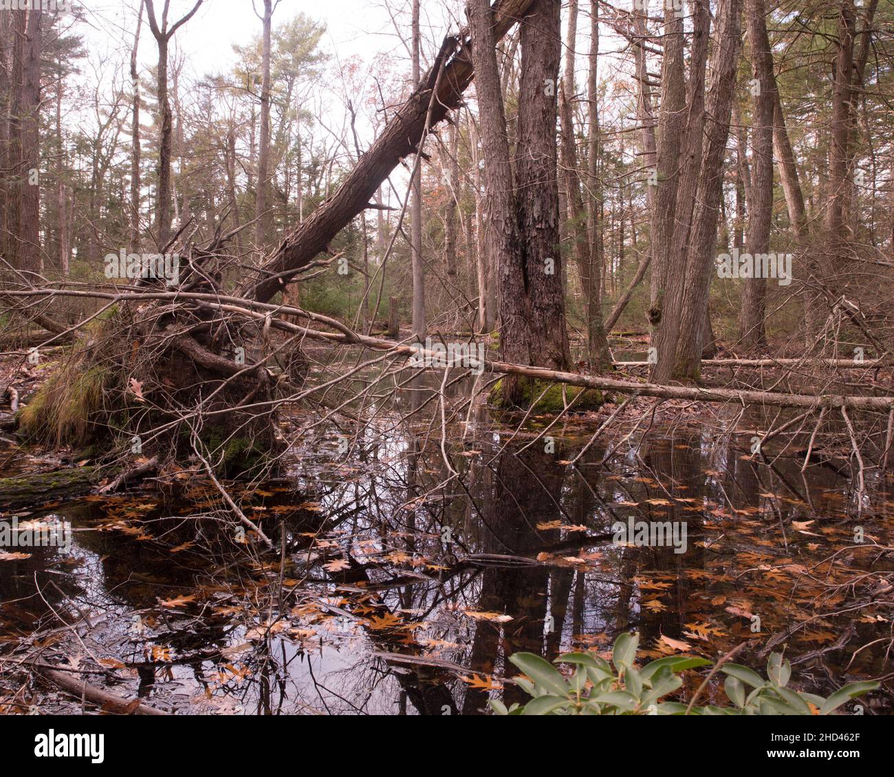 Broken environment hi-res stock photography and images - Alamy