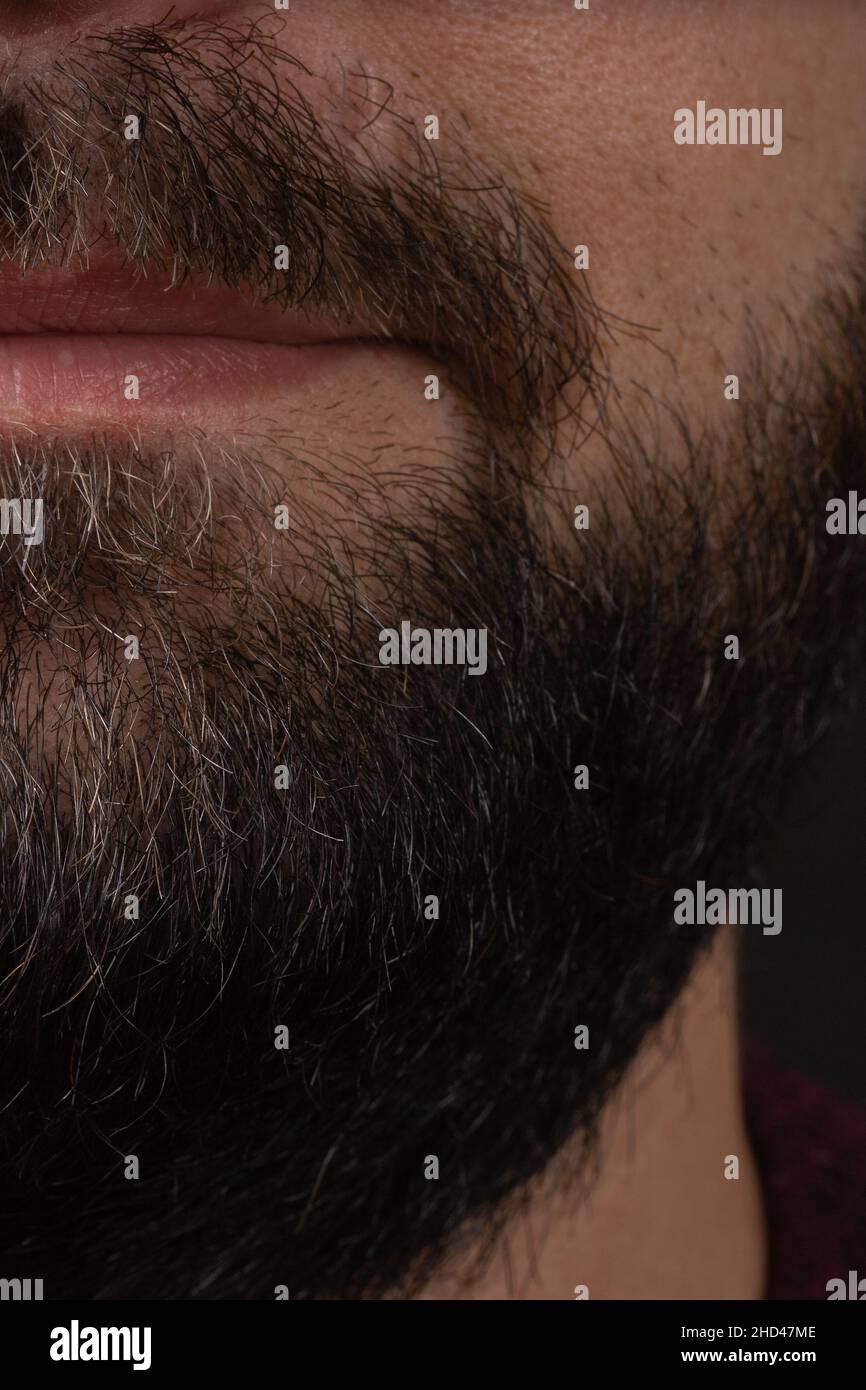 Bearded mans face hi-res stock photography and images - Alamy