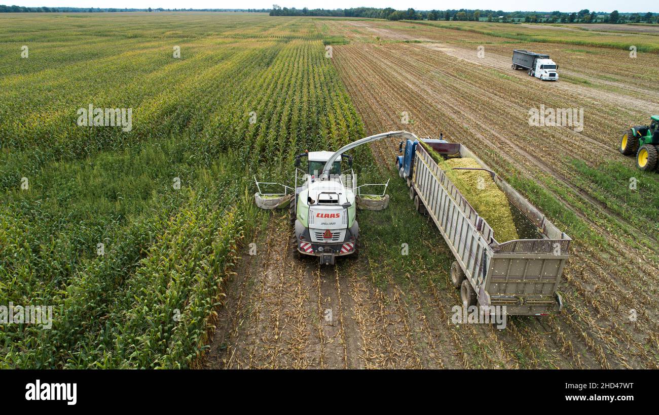 Corn silage hi-res stock photography and images - Alamy