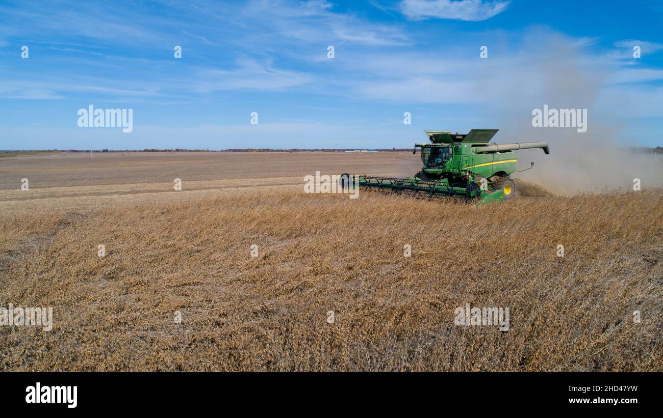 Soybean harvest in a field during the day Stock Photo - Alamy