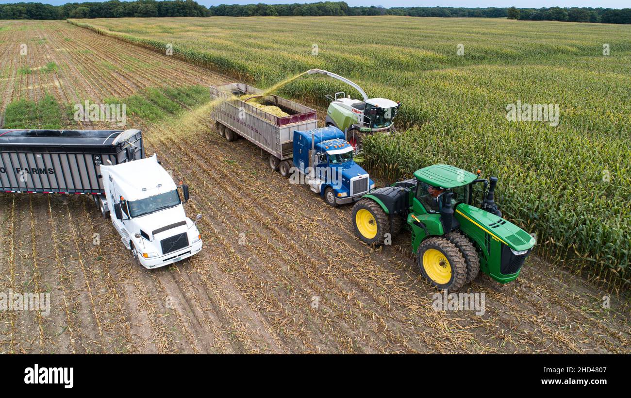 Corn silage hi-res stock photography and images - Alamy