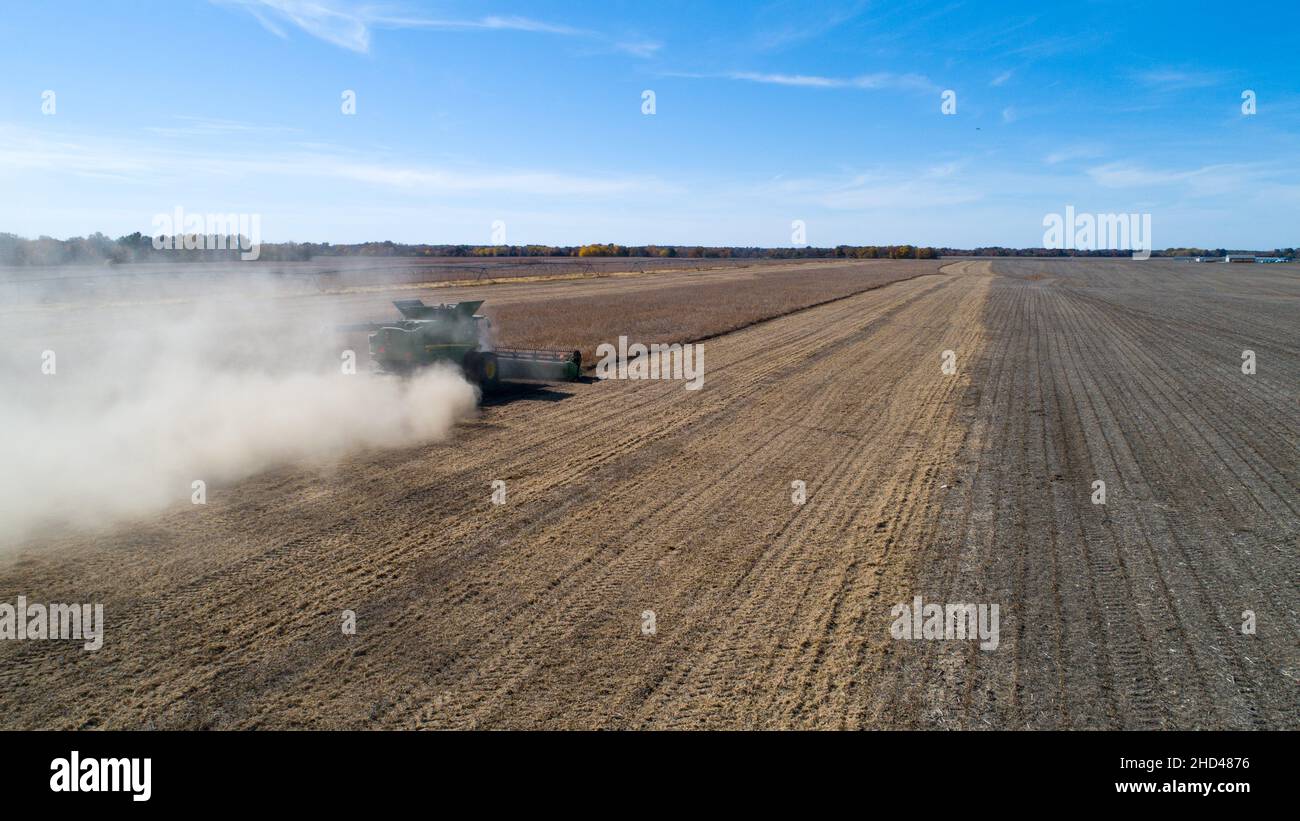 Soybean harvest in a field of a farm during the day on a clear weather ...