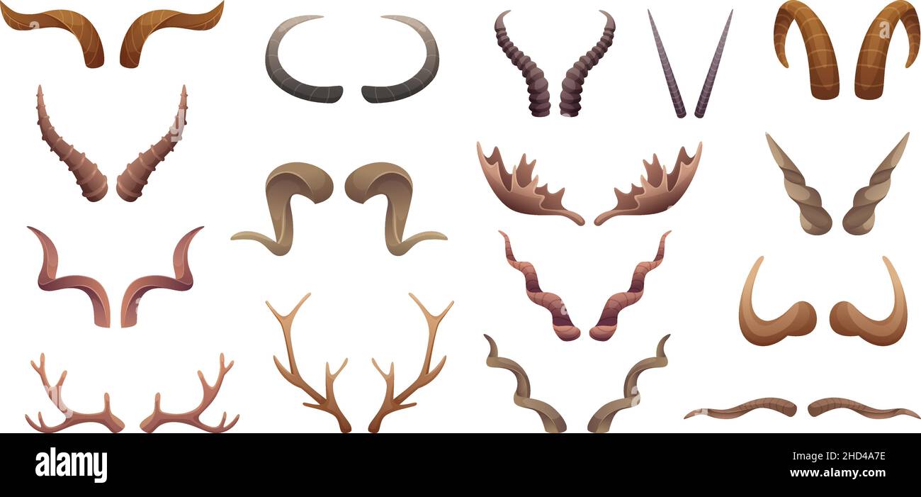 Horns collection. Buffalo rams sheep animal head anatomic parts exact ...
