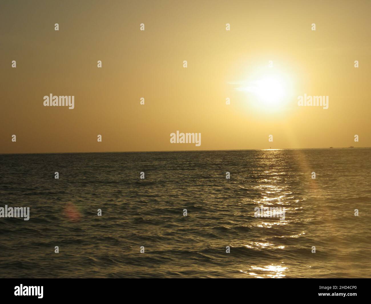 Sunset the Gulf of Mexico, Lido Beach, Florida Stock Photo - Alamy