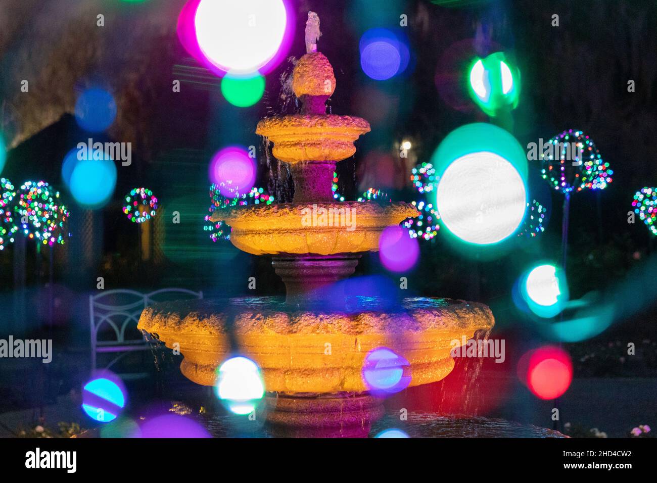Dazzling Nights, an immersive holiday lights experience. Leu Gardens ...
