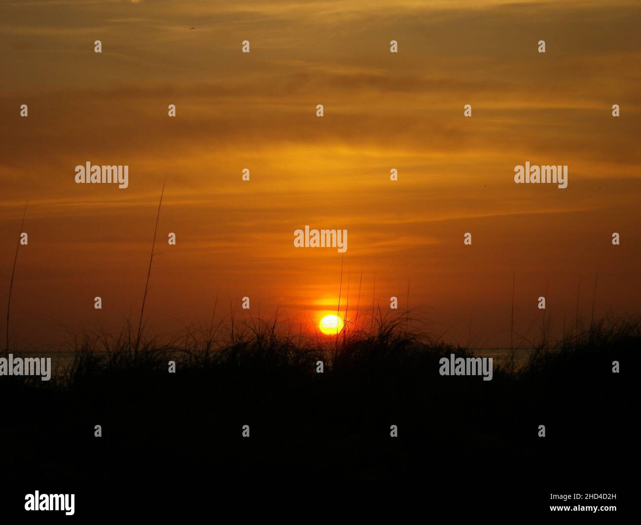 Sunset the Gulf of Mexico, Lido Beach, Florida Stock Photo - Alamy