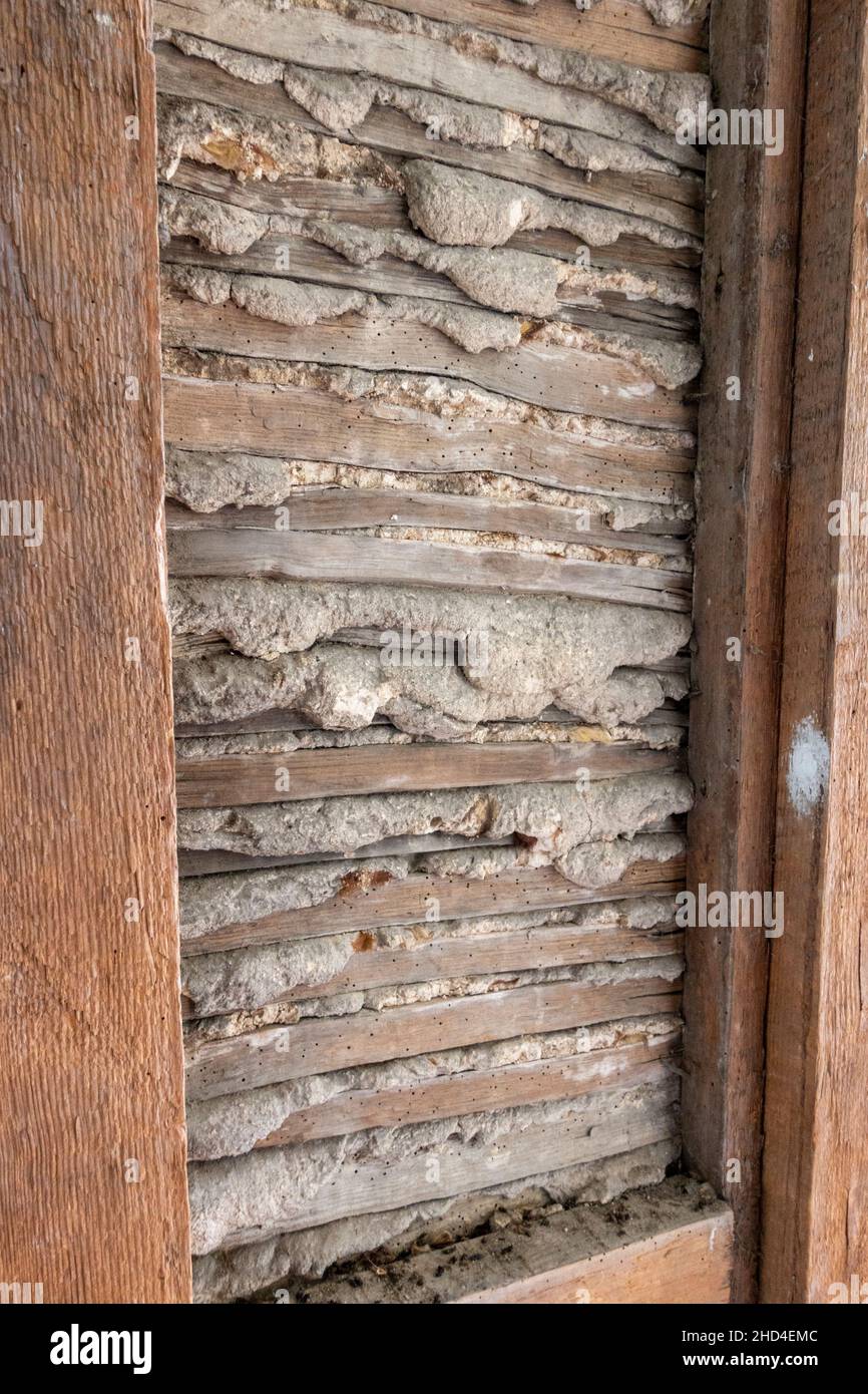 Plaster Lath Wall Section