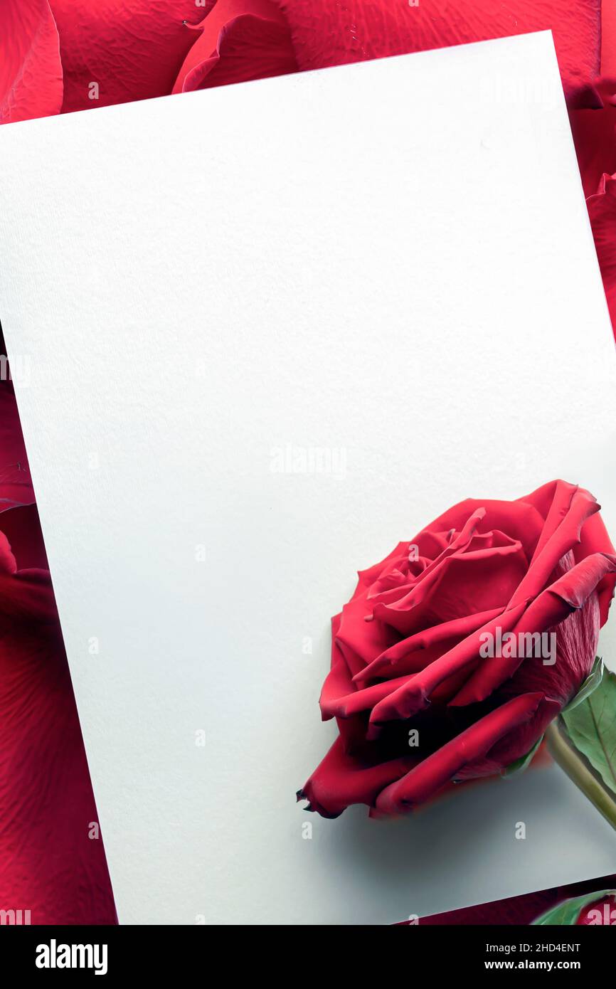 Love Letter Background Paper