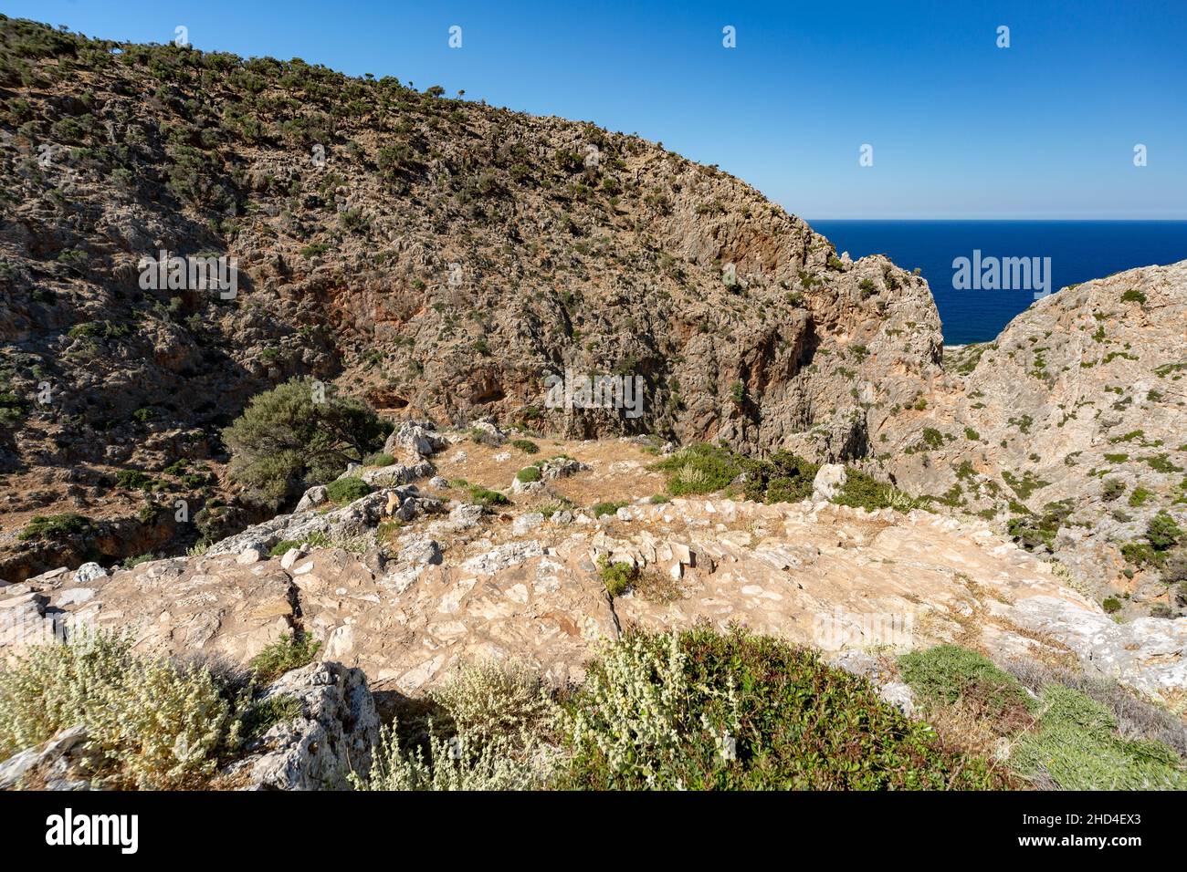 Katholiko beach trail with mossy rocks with sea in the background in ...