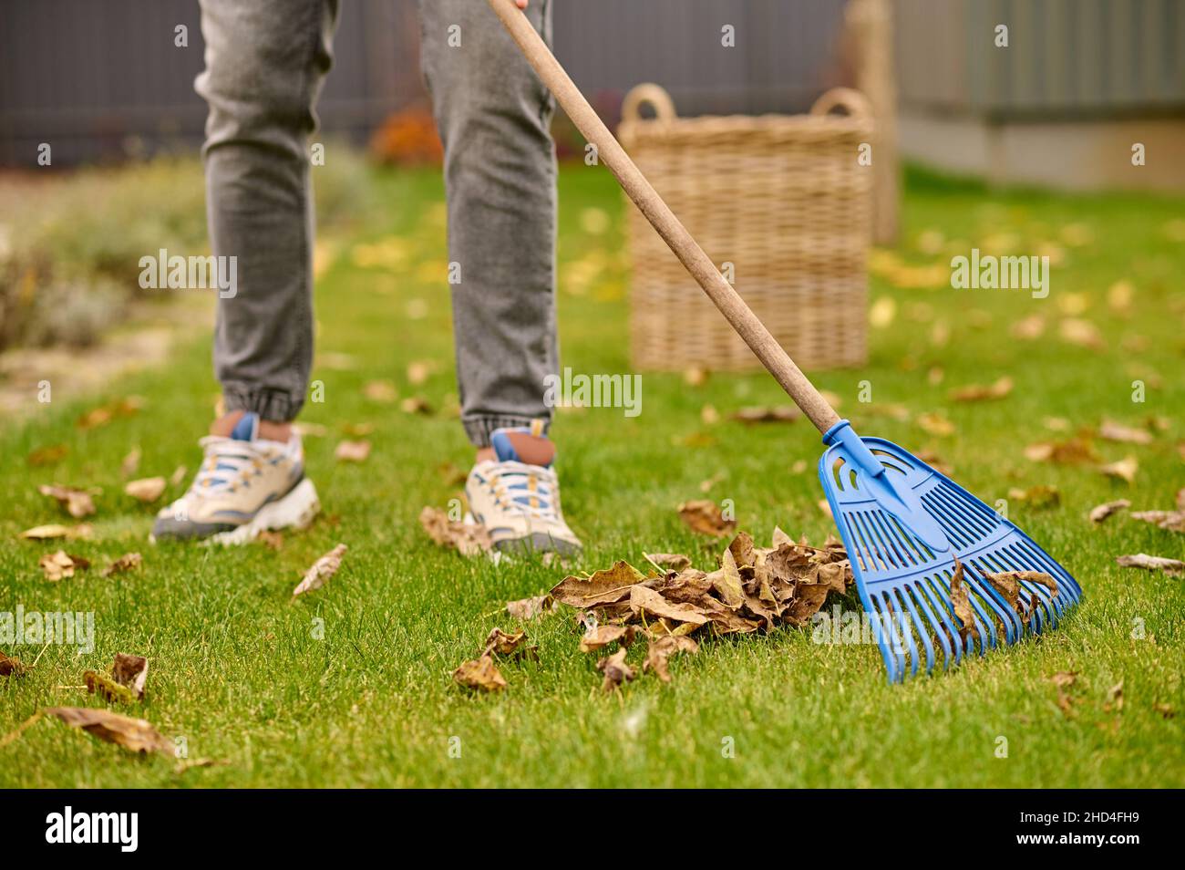 Rake with face hi-res stock photography and images - Alamy