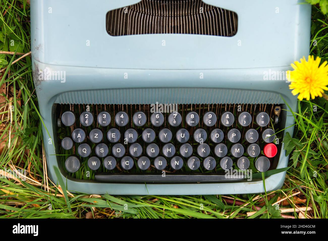 Old vintage blue typewriter on the green garden grass, top view Stock ...