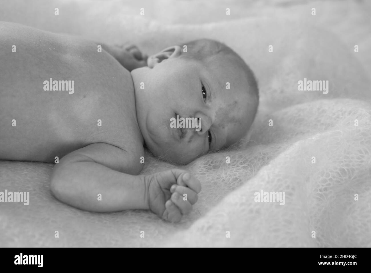 Newborn baby girl lies on the bed. The baby has just turned two weeks ...