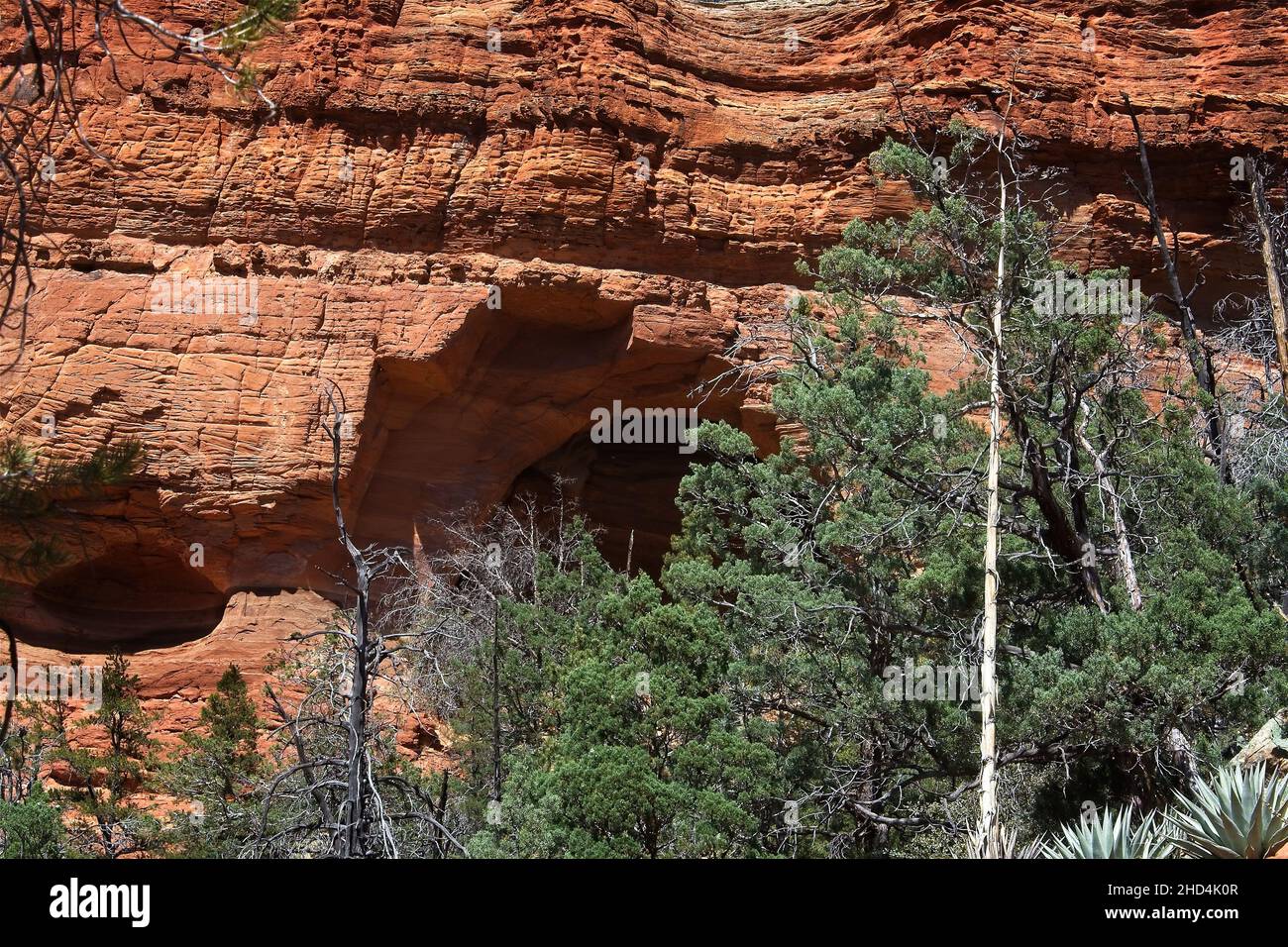 Soldiers Pass Arches Stock Photo - Alamy
