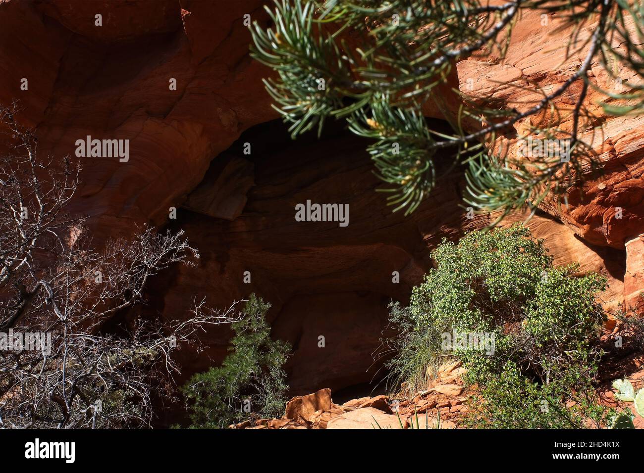 Soldiers Pass Arches Stock Photo - Alamy