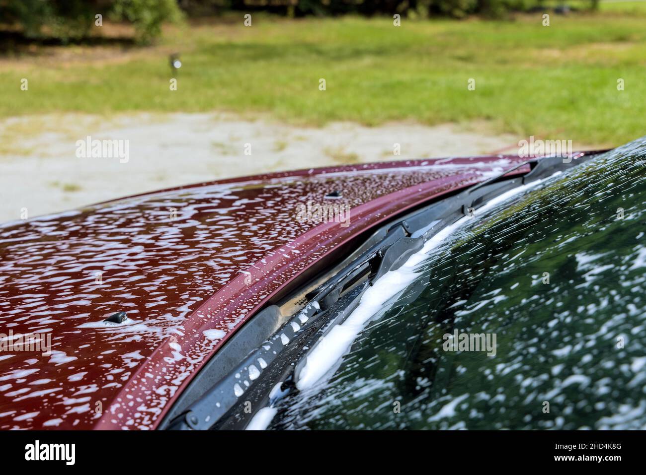 During cleaning in a car wash with foam wash on water jet spraying ...