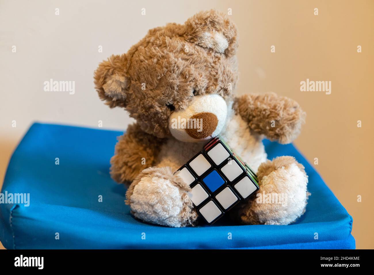 Soft teddy bear holding a Rubiks cube Stock Photo - Alamy