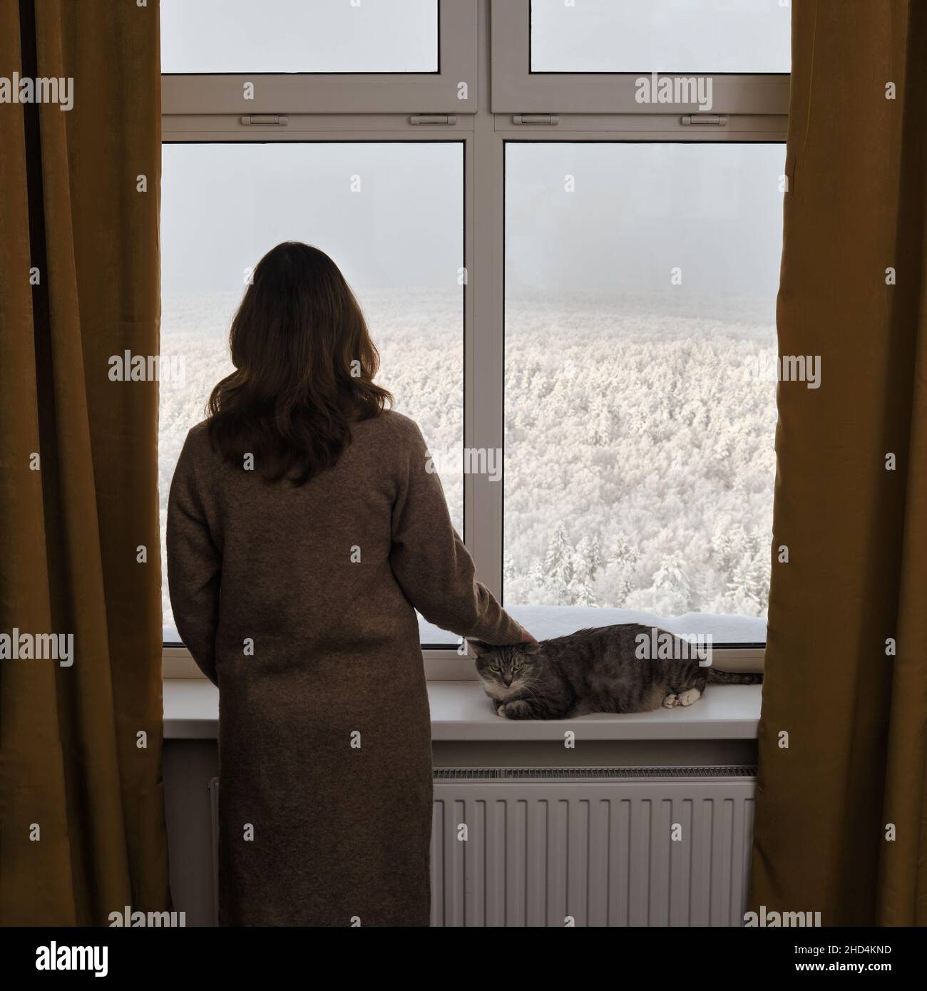 A woman and a cat at a winter window with trees in the snow. Pet on the ...