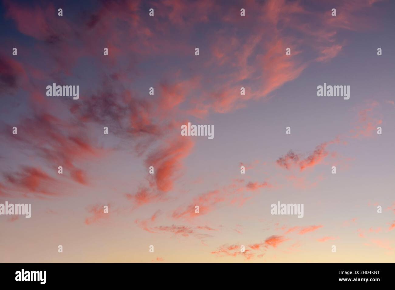 Unusual beautiful pink clouds at sunrise Stock Photo - Alamy