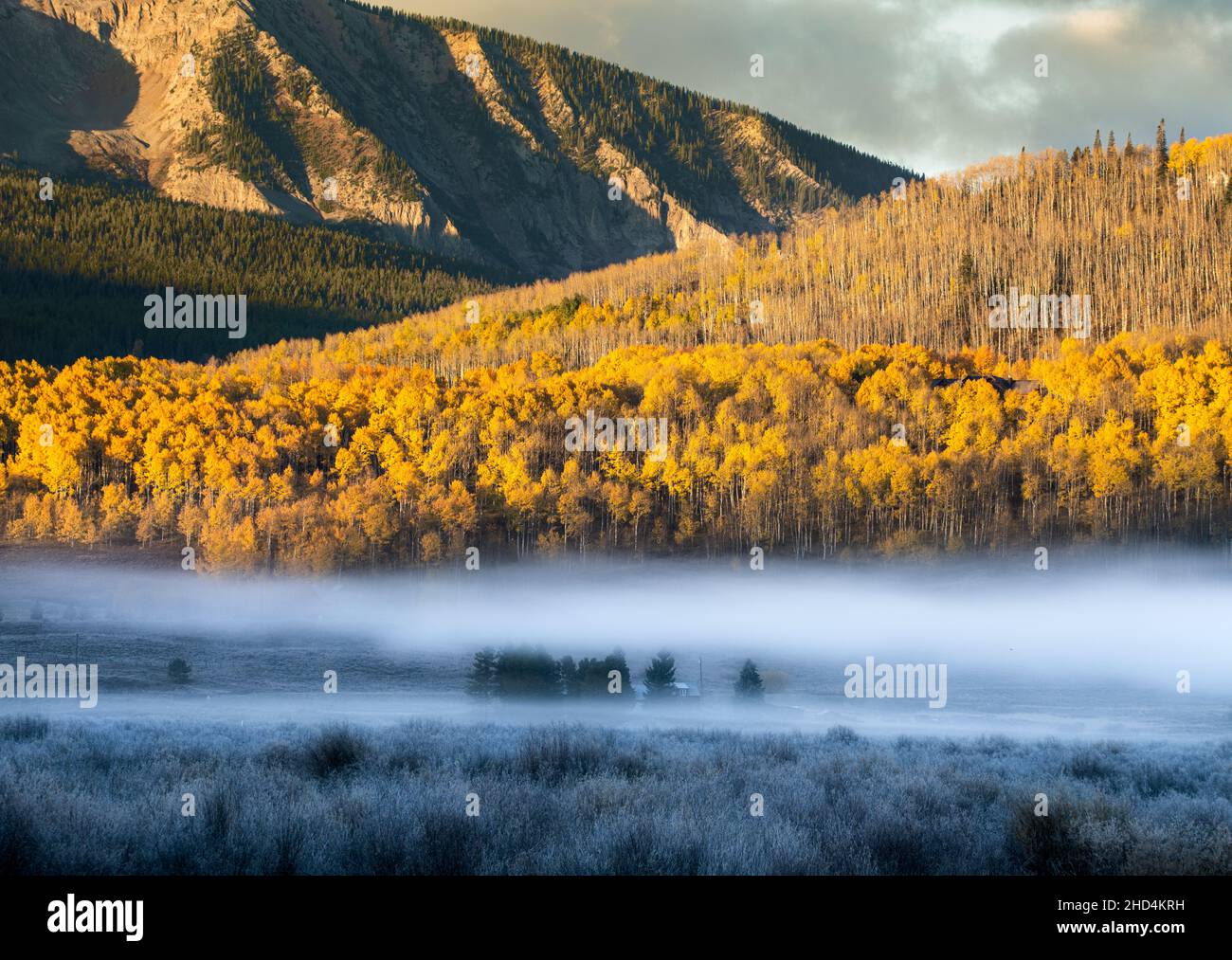 A beautiful view of a forest with autumn colors partly in the fog Stock ...