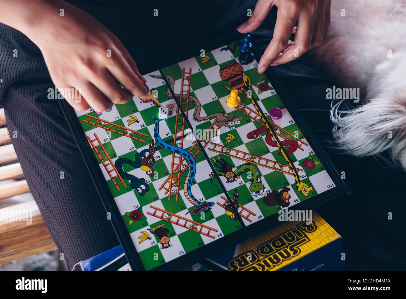 Snakes climbing hi-res stock photography and images - Alamy