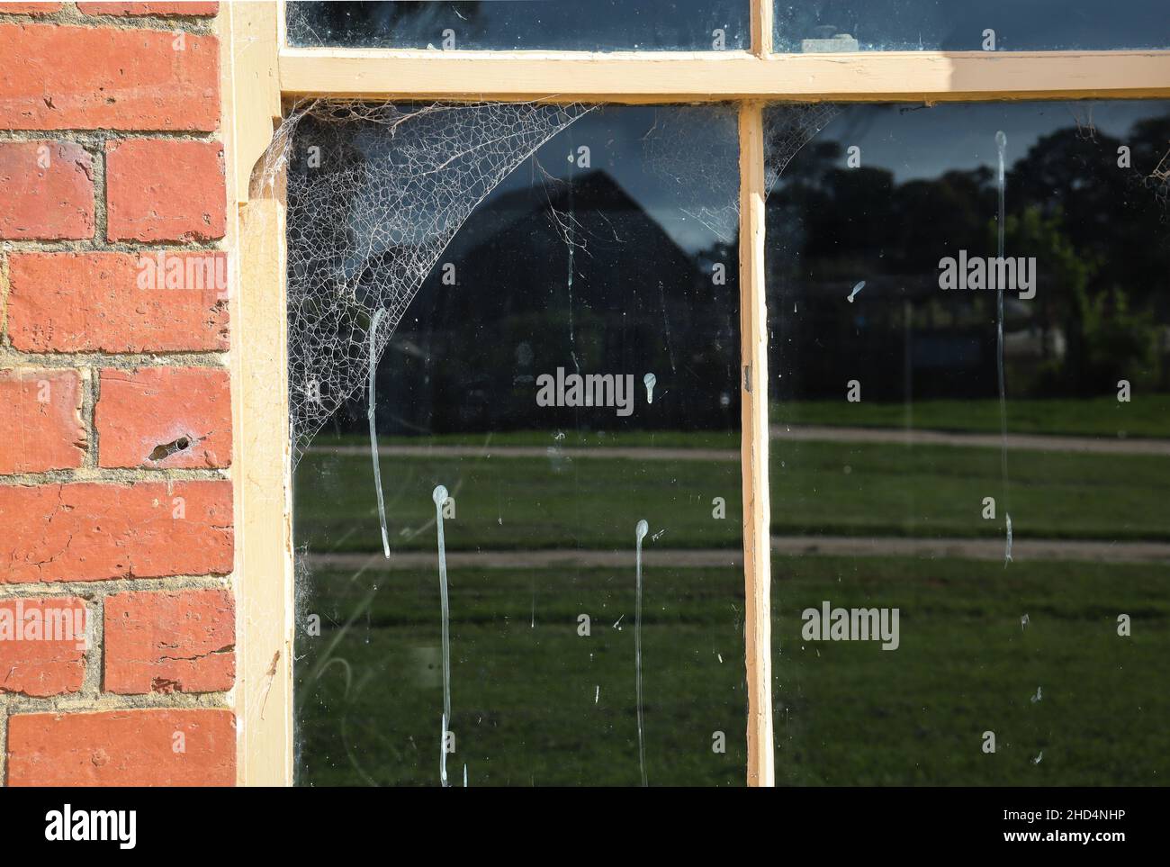 Spider web on a window reflecting houses and a grassy lawn Stock Photo ...