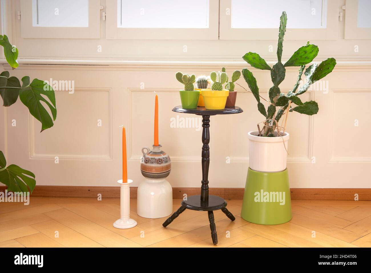 Interior with cactus plants. Variety of houseplants in pots indoor ...