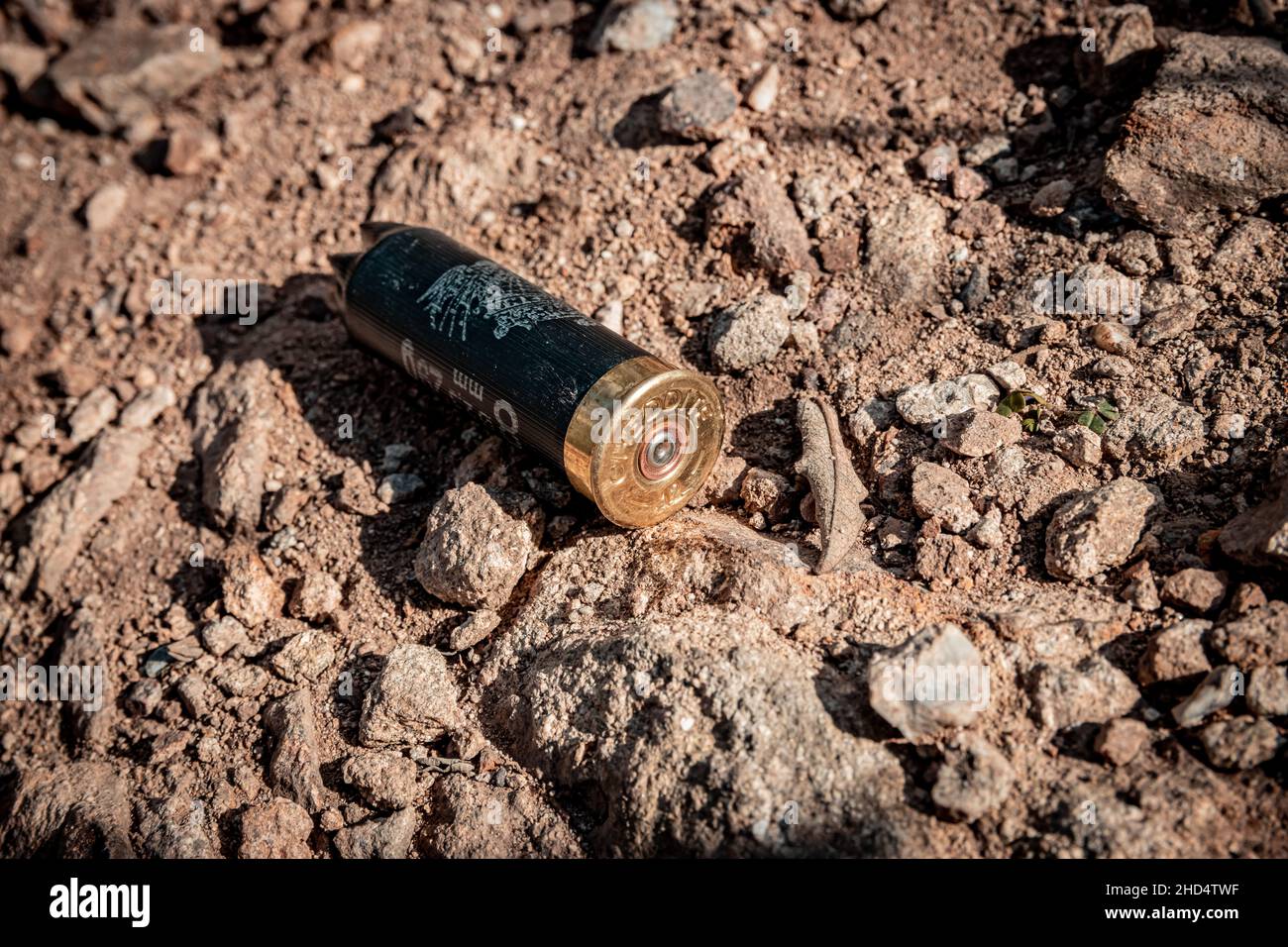 Suelo arena hi-res stock photography and images - Alamy