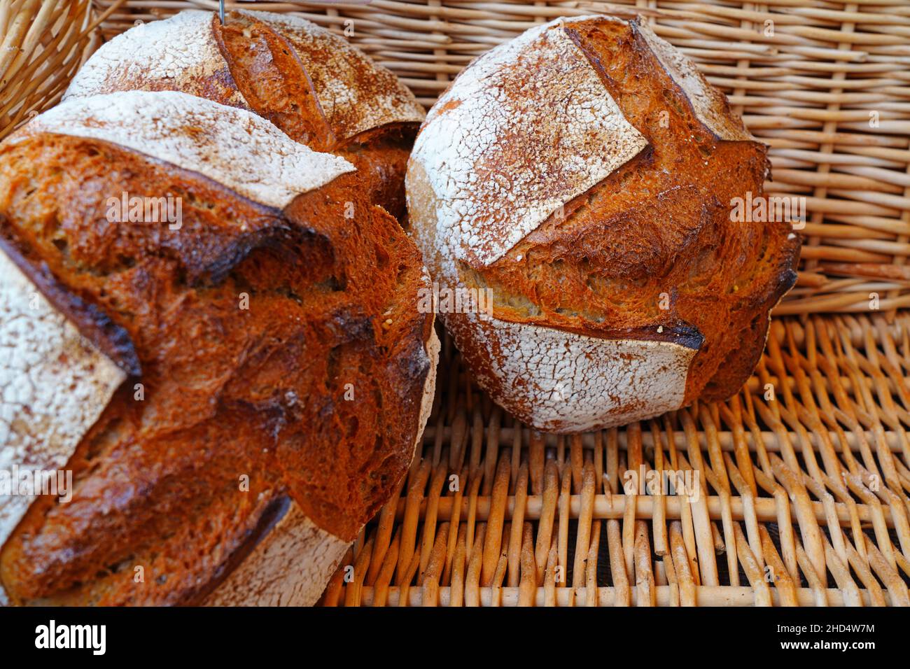 Rustic French sourdough bread boule loaves slashes on top of the crust ...