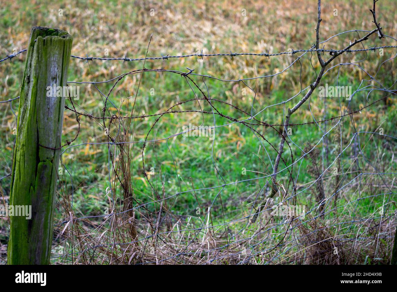 White wooden fence broken hi-res stock photography and images - Alamy