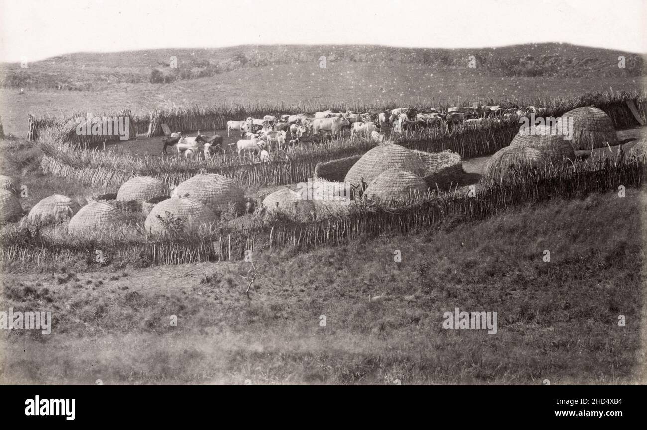Vintage late 19th century/1900 photograph: Village, farm settlement ...